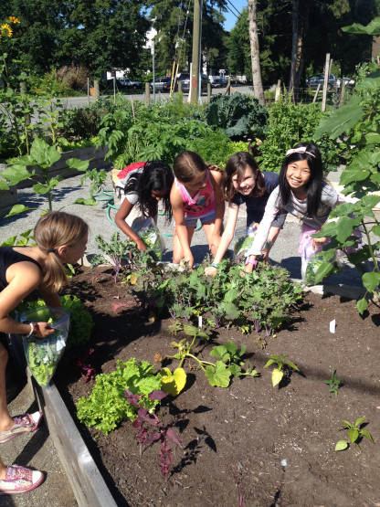 Intergenerational Garden - Maple Ridge, Pitt Meadows, Katzie, Seniors ...
